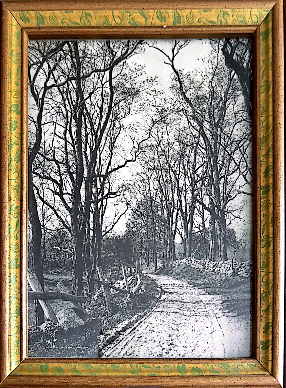 The First Picture – The David Davidson Story